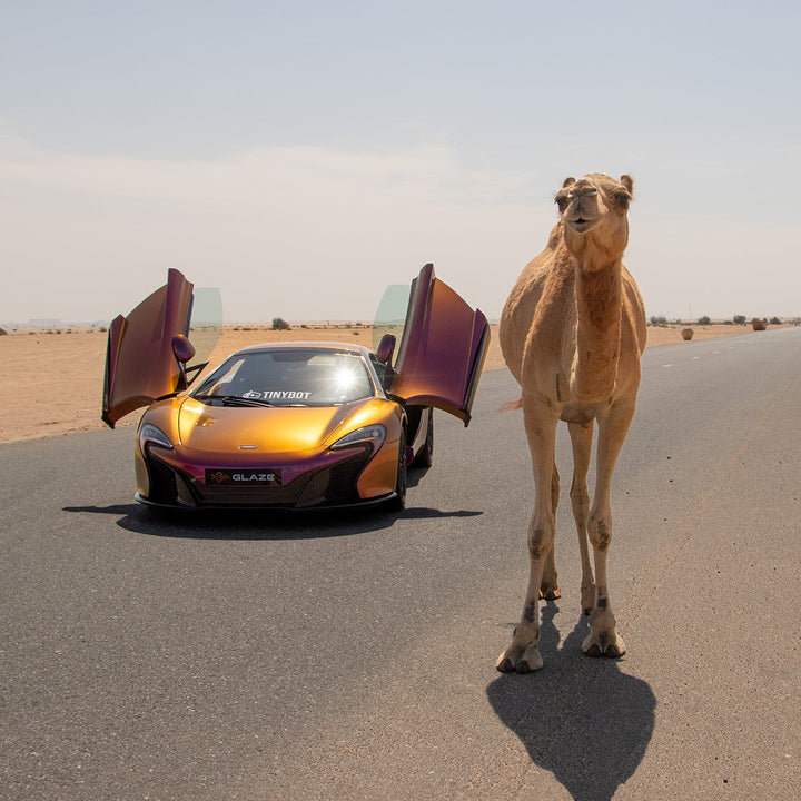 Products – Tinybot Vinyl Canada